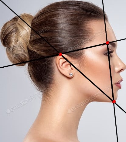 Drawing of the face -the profile- (1st part) | School of Arts and ...